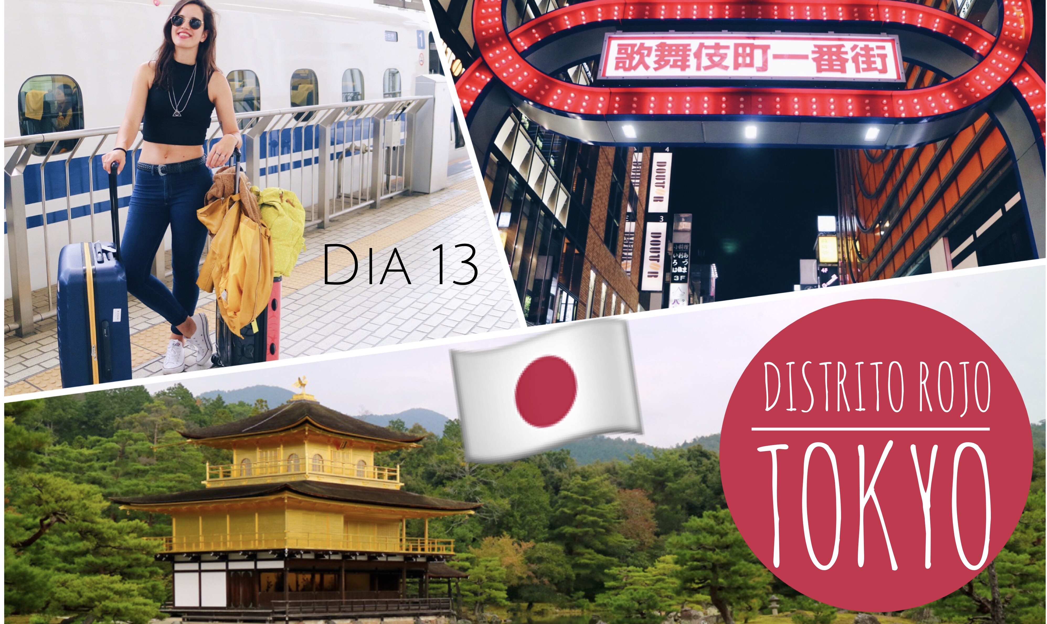 NUEVO VIDEO: Robot Restaurant en el Distrito Rojo de Tokyo | Diario de ...